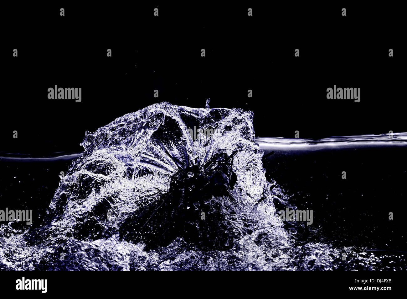 Sorgente d'acqua immagini e fotografie stock ad alta risoluzione - Alamy