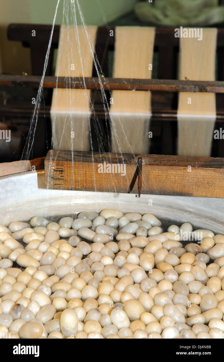 Filanda di seta immagini e fotografie stock ad alta risoluzione - Alamy