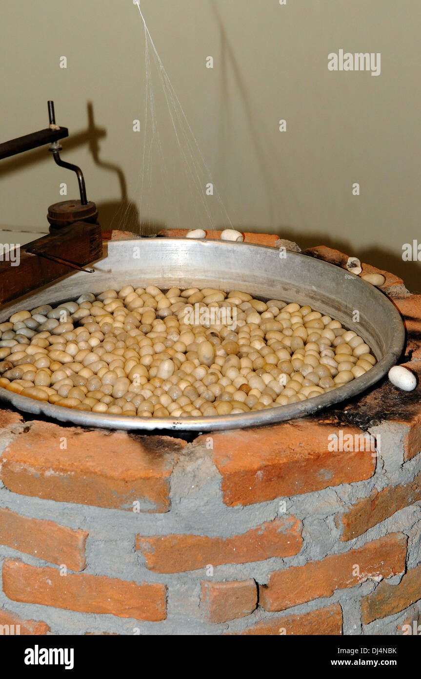 Filanda di seta immagini e fotografie stock ad alta risoluzione - Alamy