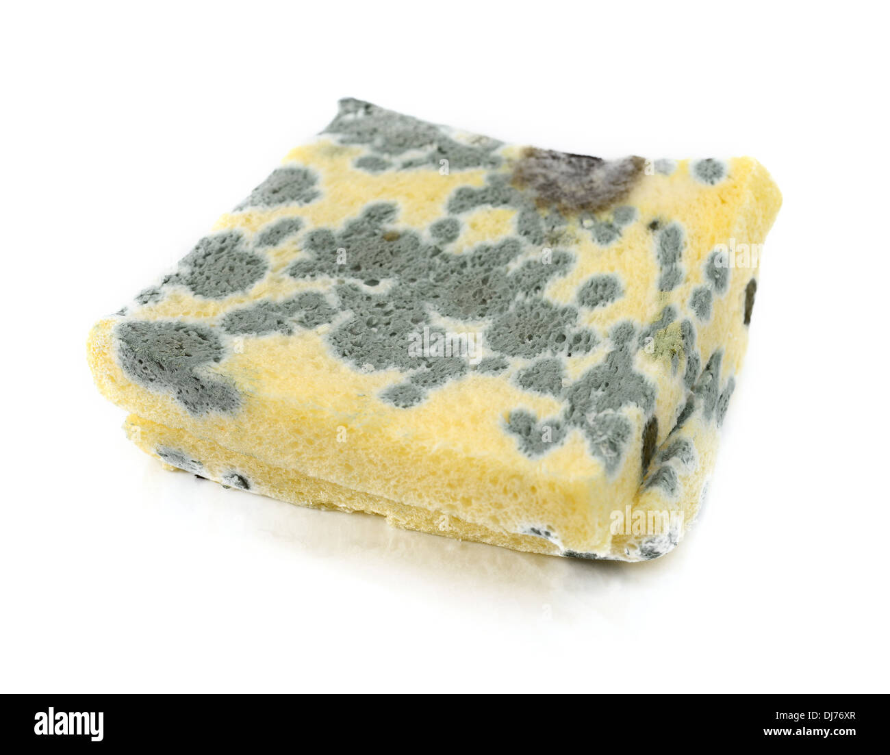 Muffa del pane immagini e fotografie stock ad alta risoluzione - Alamy