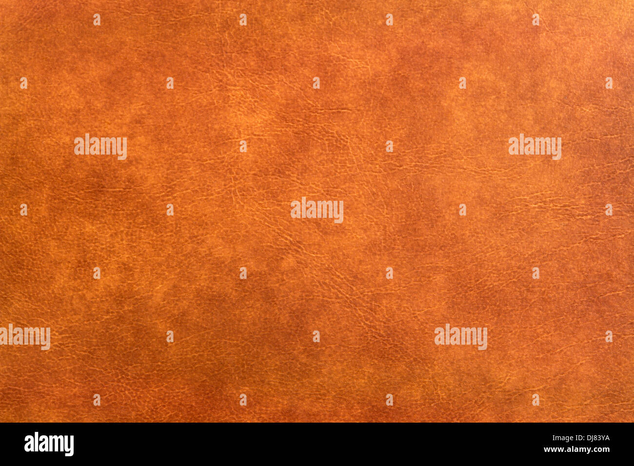 Pelle a pelle immagini e fotografie stock ad alta risoluzione - Alamy