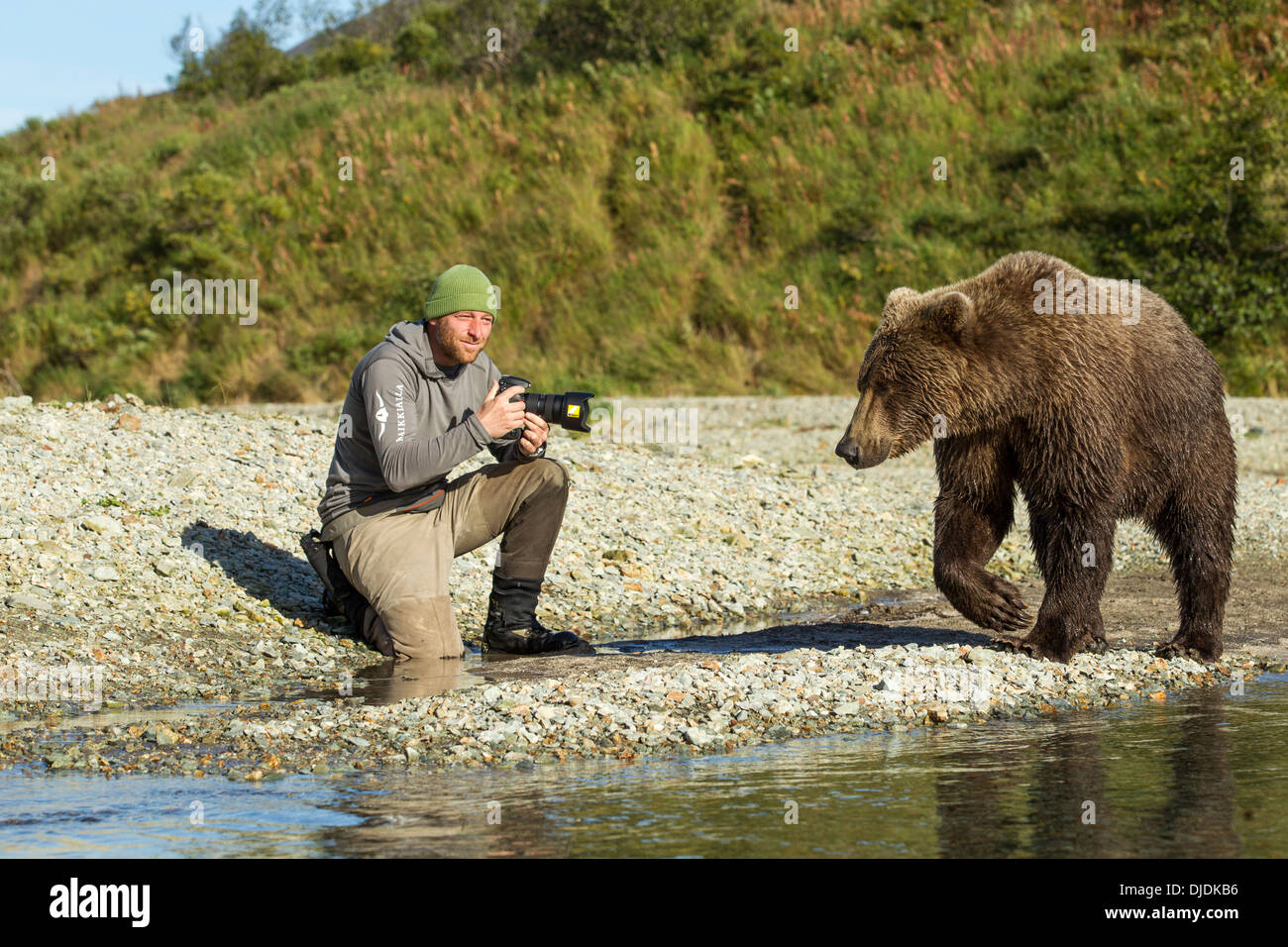 Stati Uniti d'America, Alaska Katmai National Park, biologo svizzero e ...