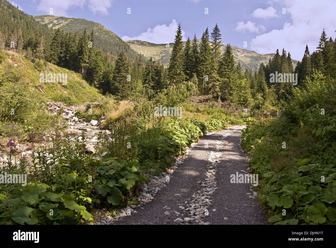 Koprova dolina immagini e fotografie stock ad alta risoluzione - Alamy