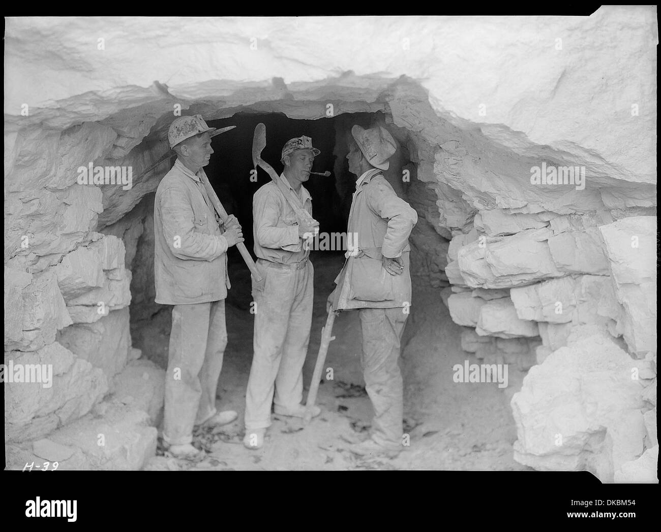 Il caposquadra Clark e gli alberi Arthur Roberts e Sam Mynatt si ...