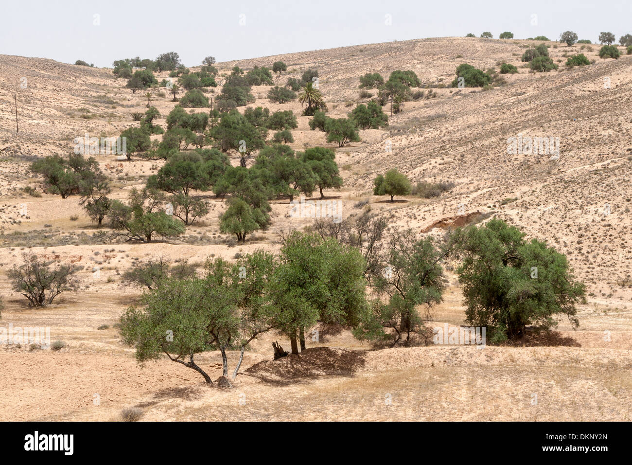 Jebel nefusa immagini e fotografie stock ad alta risoluzione - Alamy
