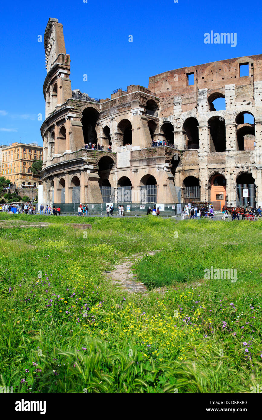 Struttura del colosseo immagini e fotografie stock ad alta risoluzione ...