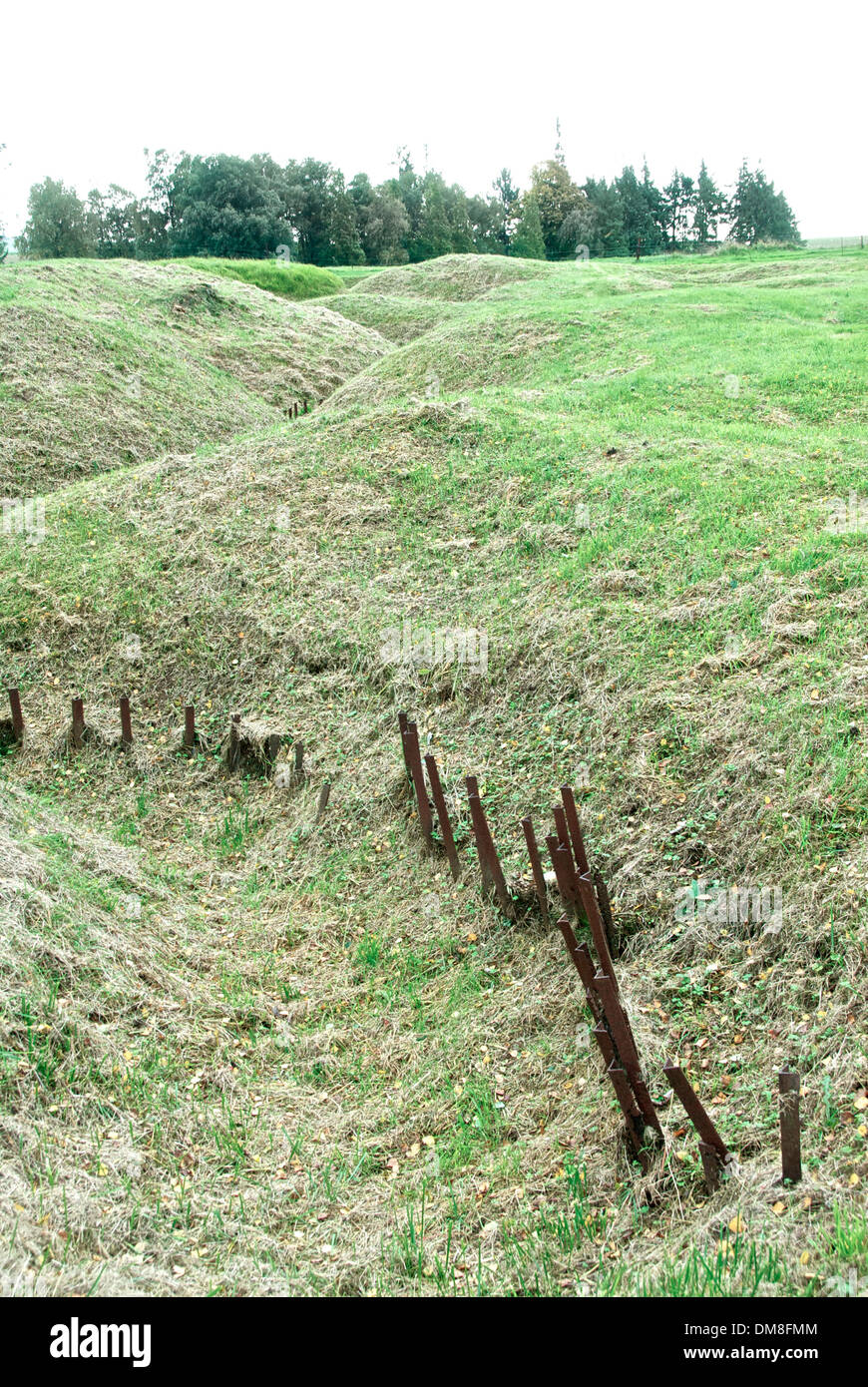 Trincea ww1 conservata immagini e fotografie stock ad alta risoluzione ...