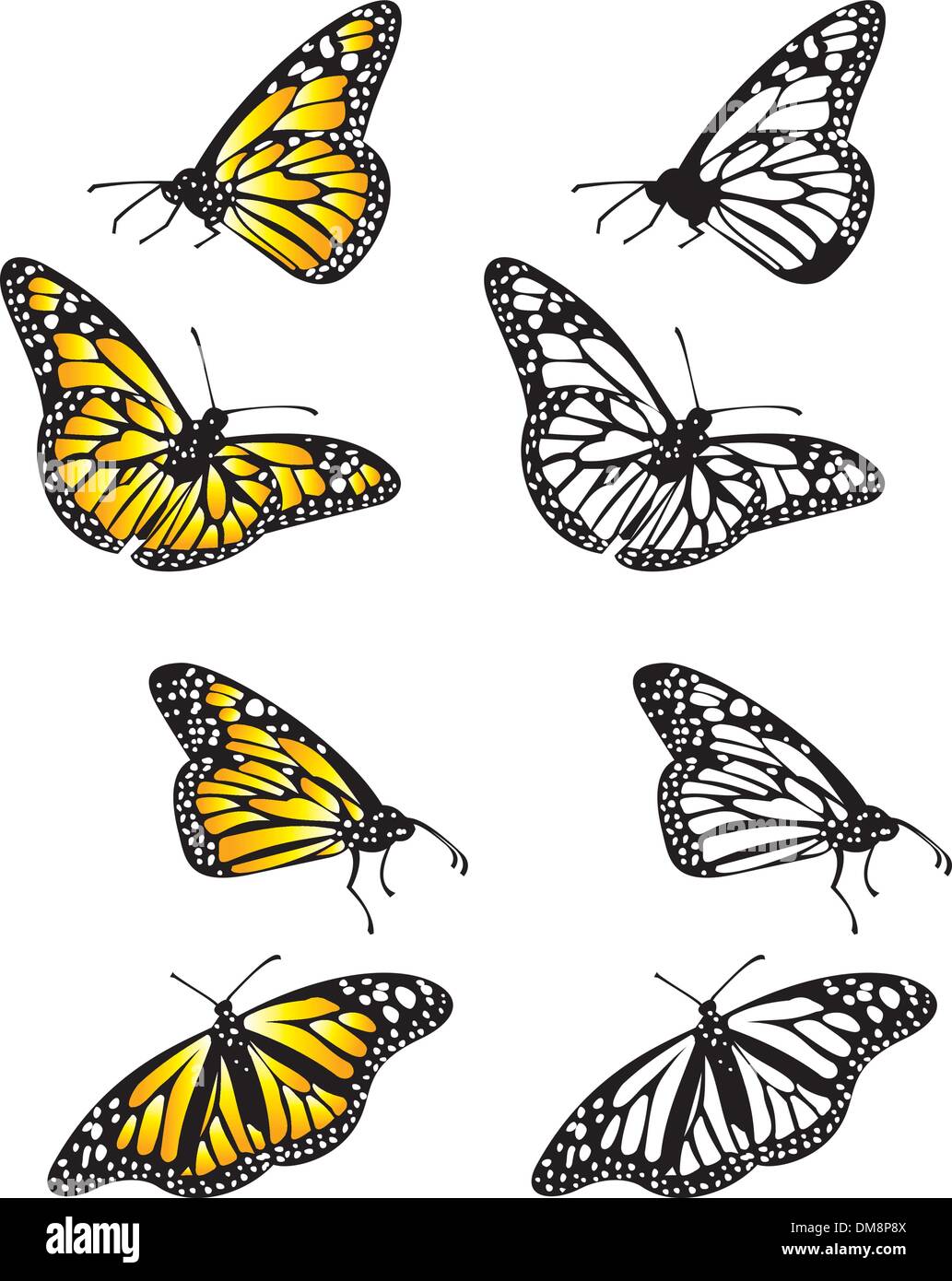 Disegno farfalle Immagini senza sfondo e Foto Stock ritagliate - Alamy