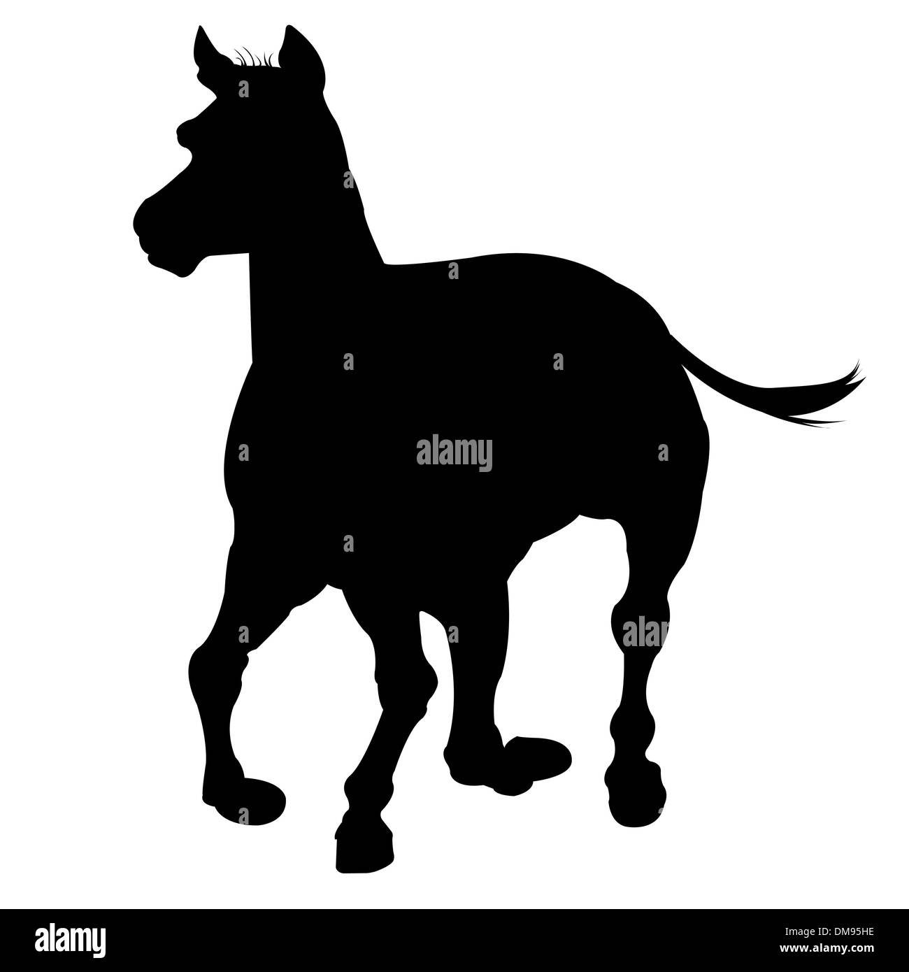 Sfondo con sagoma di cavallo Foto e Immagini Stock in Bianco e Nero - Alamy