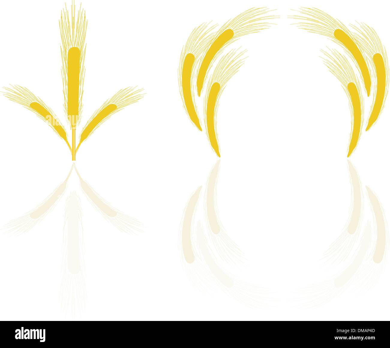 Grano tenero Immagini Vettoriali Stock - Alamy