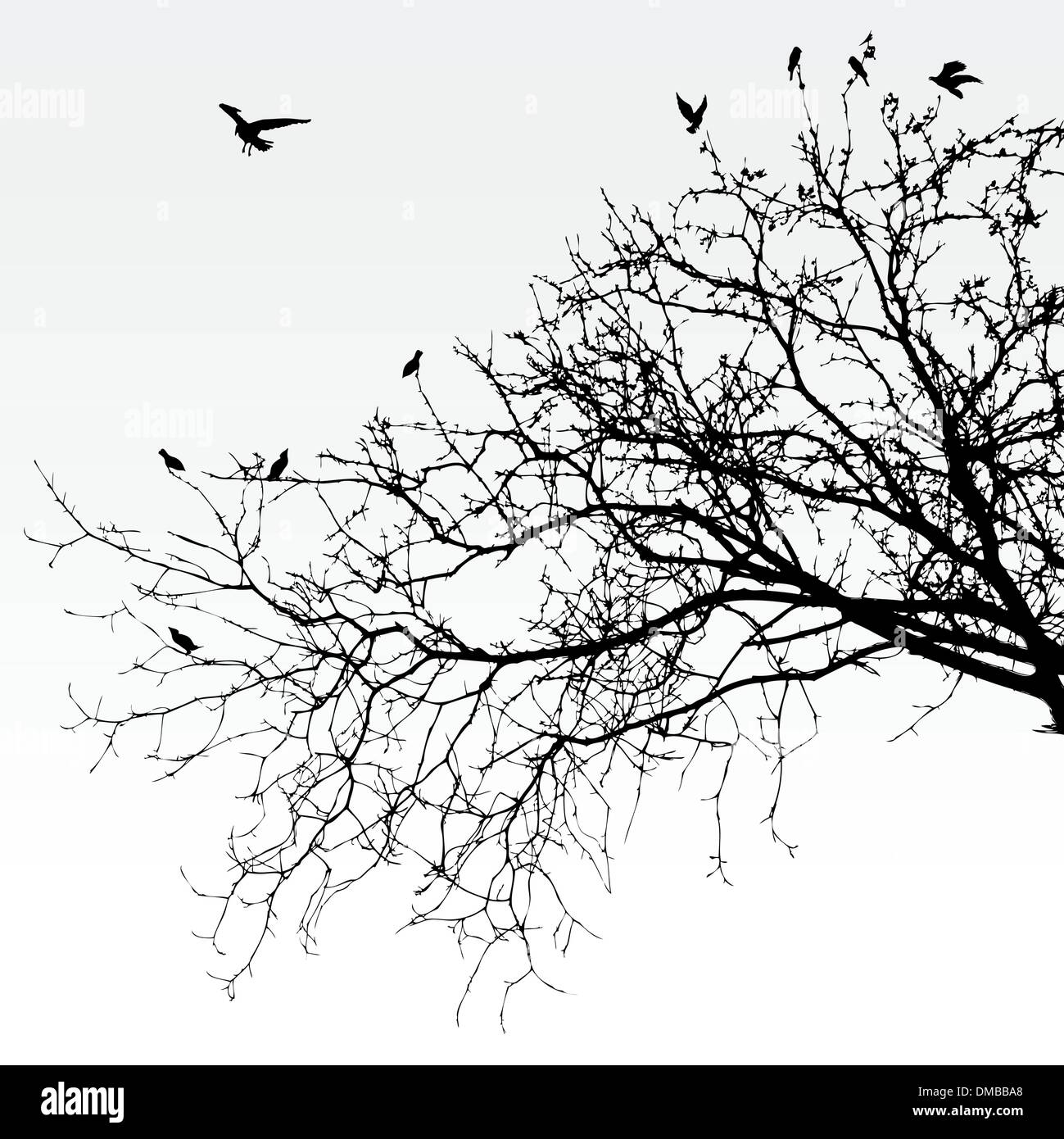 Sagoma di rami di un albero Immagini Vettoriali Stock - Pagina 2 - Alamy