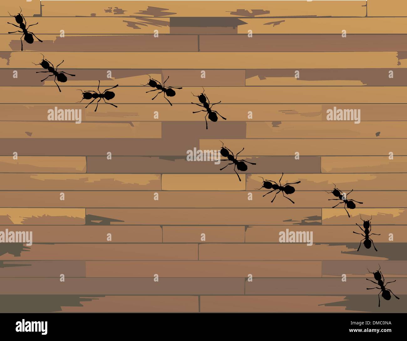 Sfondo di formica Immagini Vettoriali Stock - Alamy