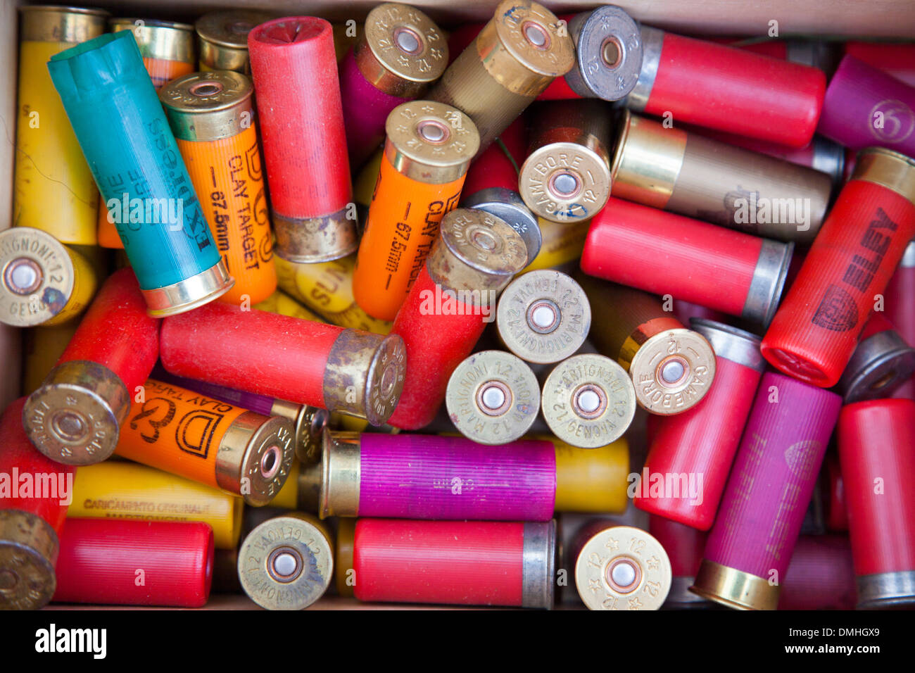 Cartucce per fucili a pompa immagini e fotografie stock ad alta ...