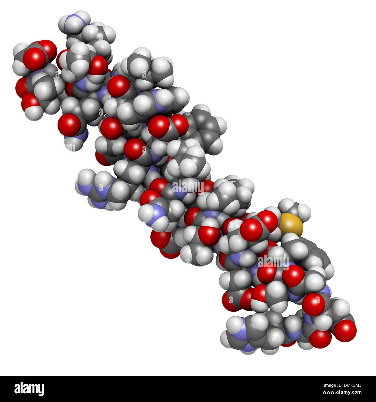 Sindrome dell'intestino corto immagini e fotografie stock ad alta ...