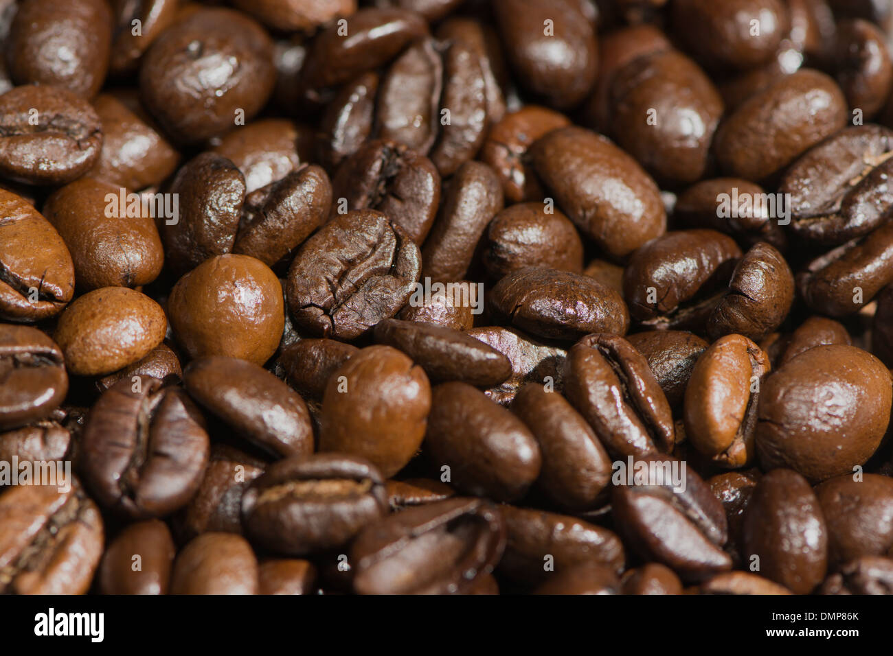 Chicchi di caffè torrefatto immagini e fotografie stock ad alta ...