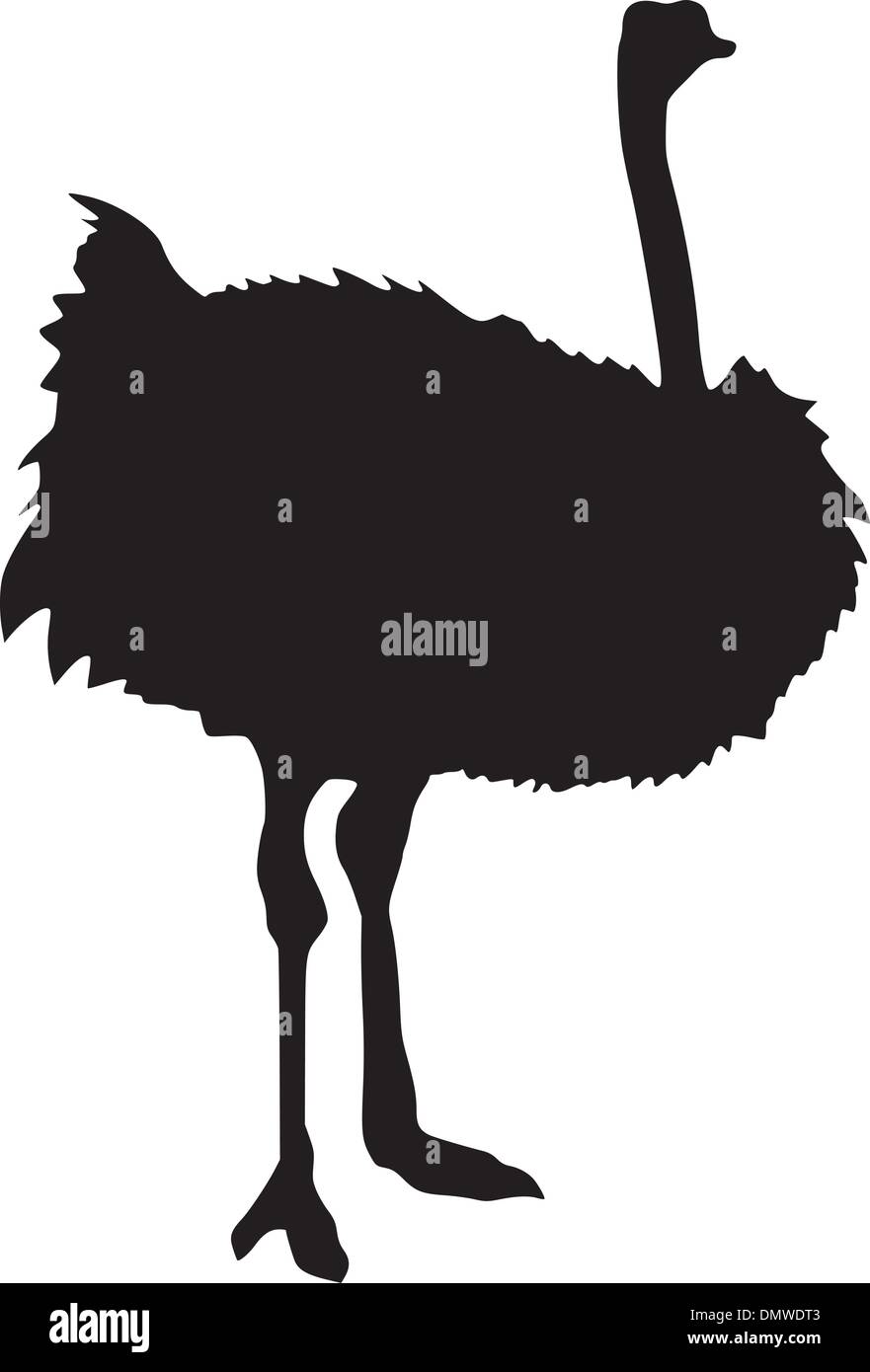Sagoma di struzzo Immagini Vettoriali Stock - Alamy