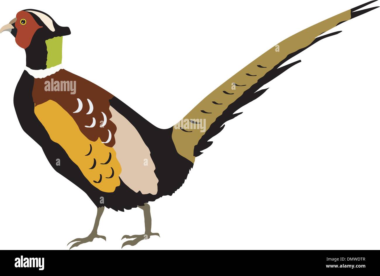 Sagoma di fagiano immagini e fotografie stock ad alta risoluzione - Alamy