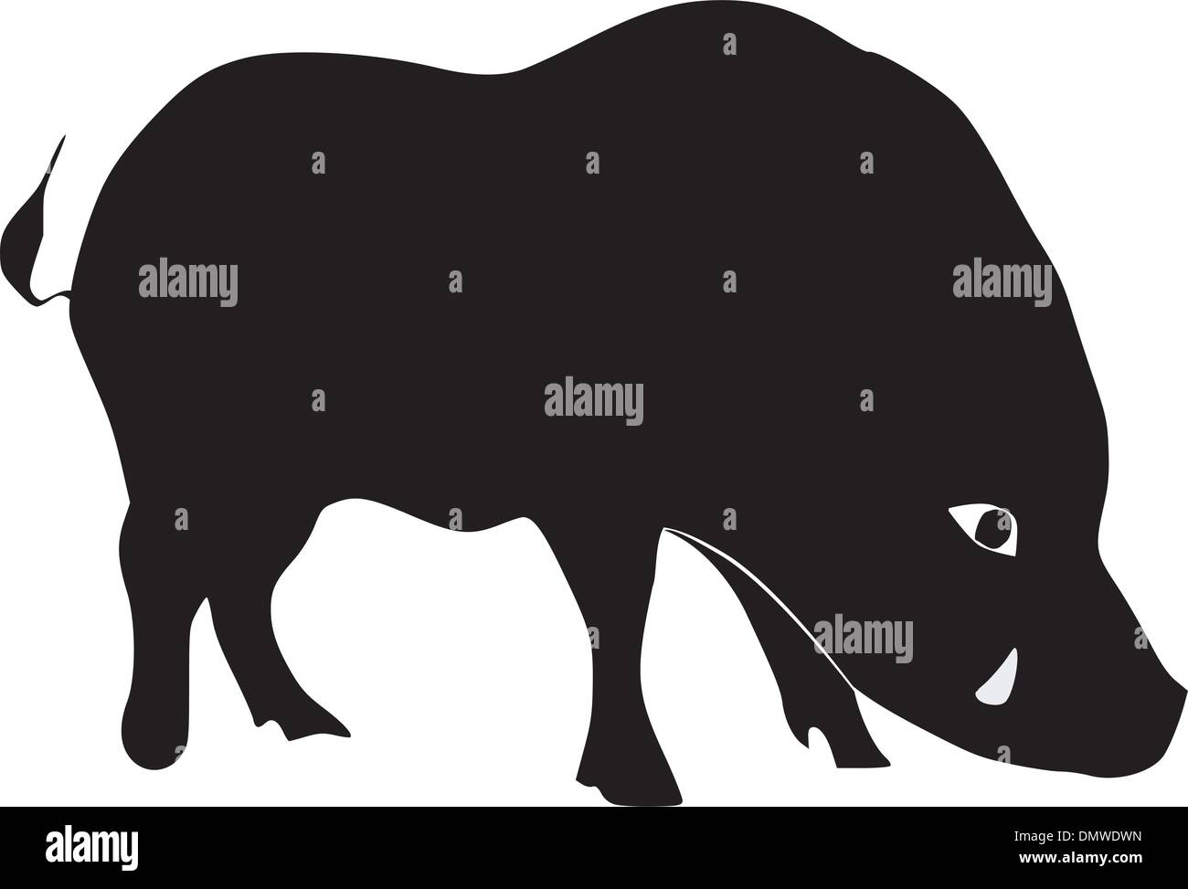 Illustrazione di cinghiale Immagini Vettoriali Stock - Alamy