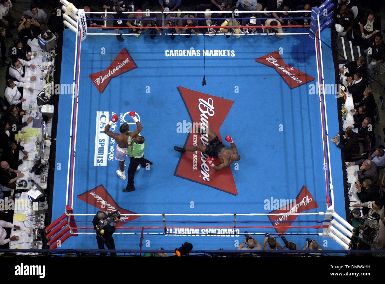 Due volte campione del mondo immagini e fotografie stock ad alta ...