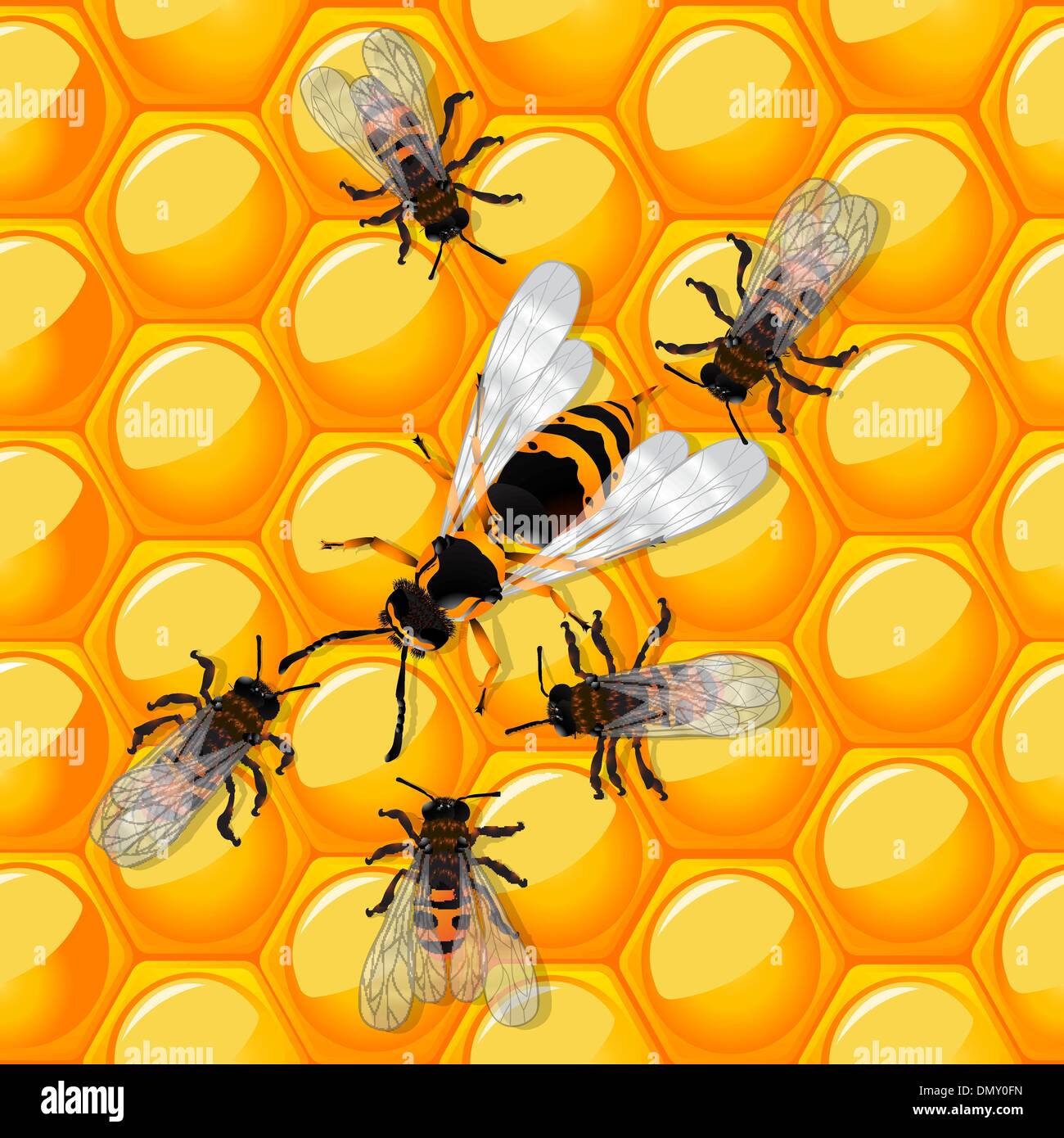 Vespa puntura Immagini Vettoriali Stock - Alamy