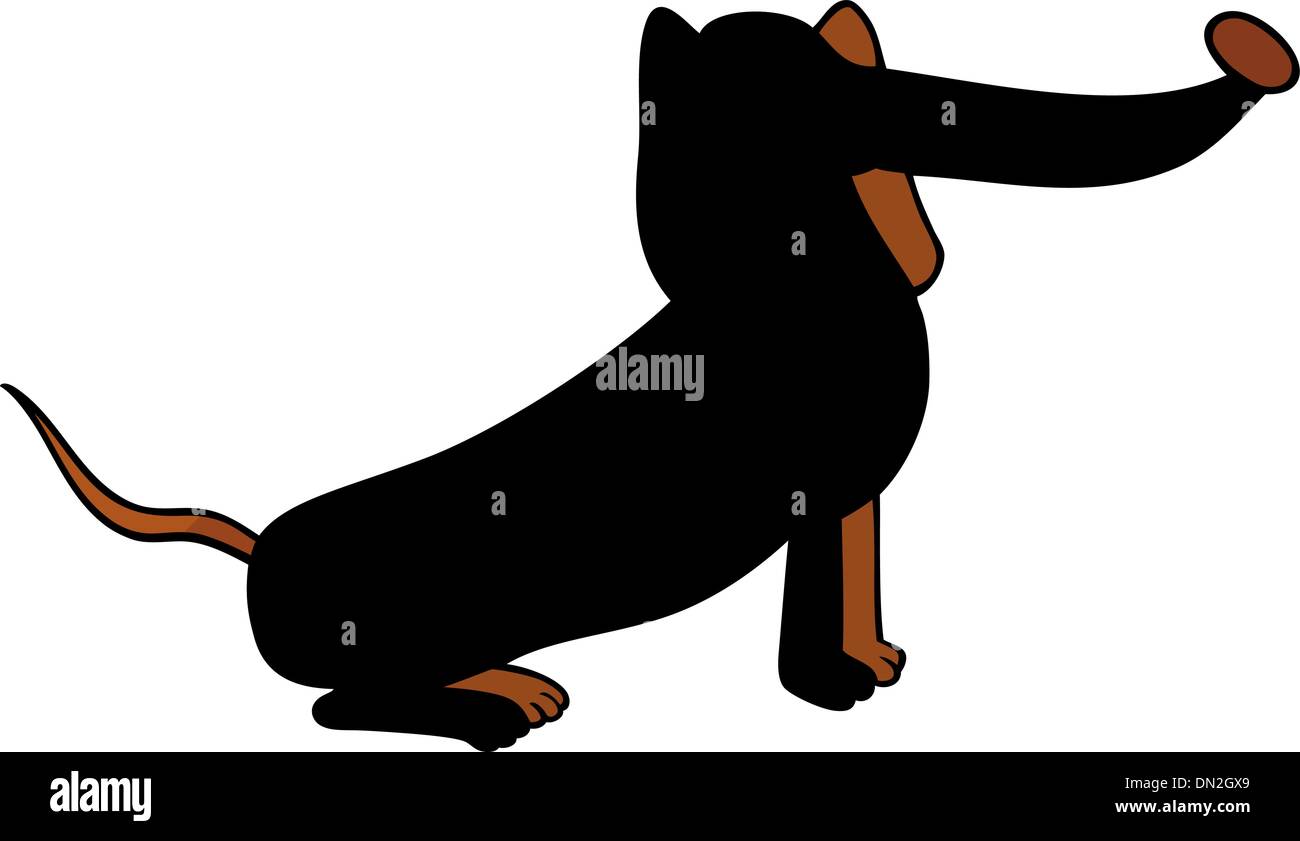 Carino bassotto cucciolo di cane Immagini Vettoriali Stock - Alamy