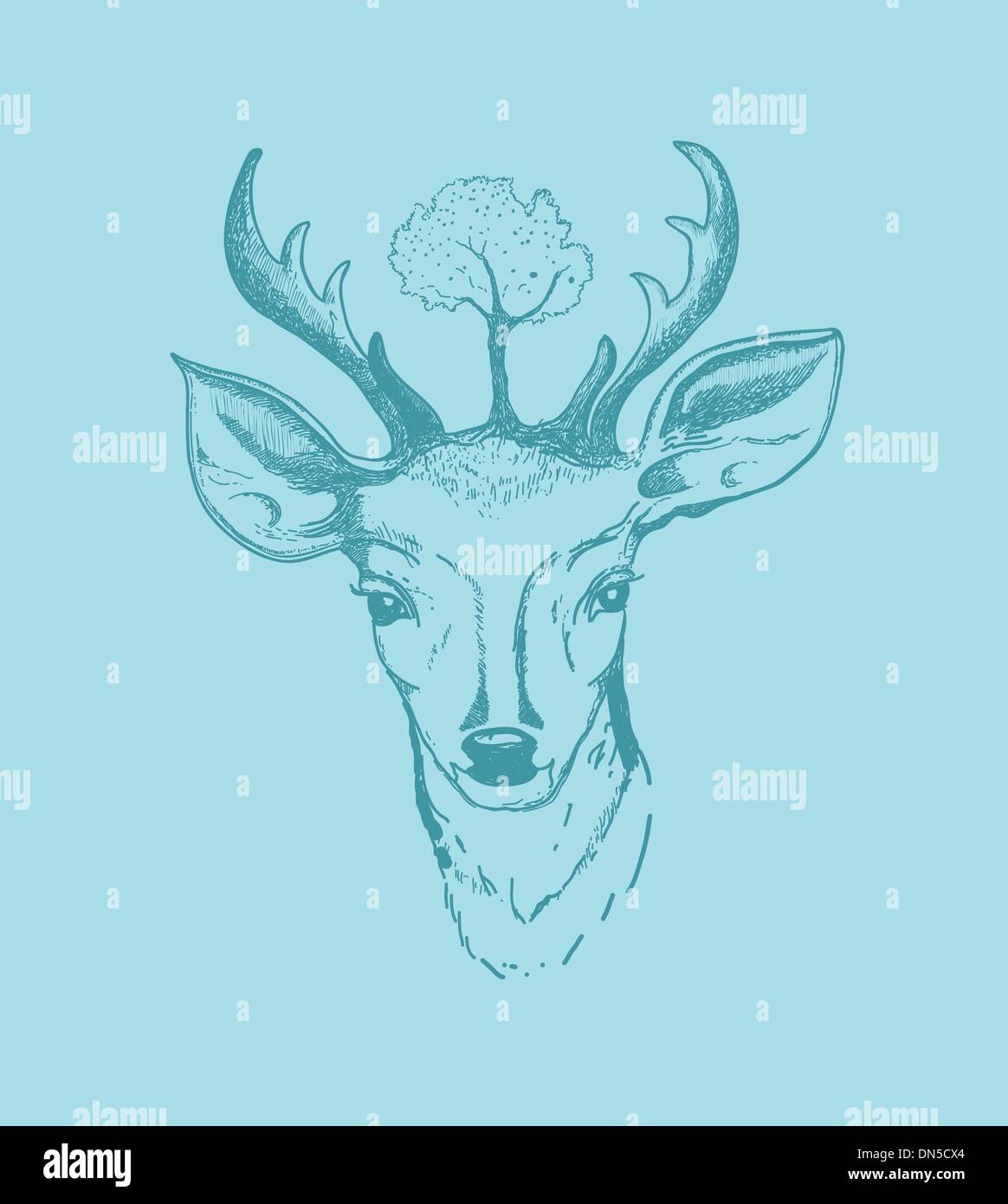 Cervo disegno immagini e fotografie stock ad alta risoluzione - Alamy