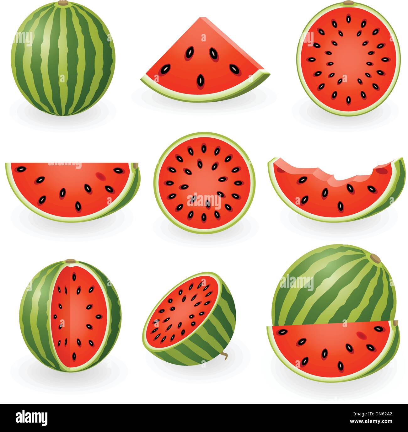 Clipart anguria immagini e fotografie stock ad alta risoluzione - Alamy