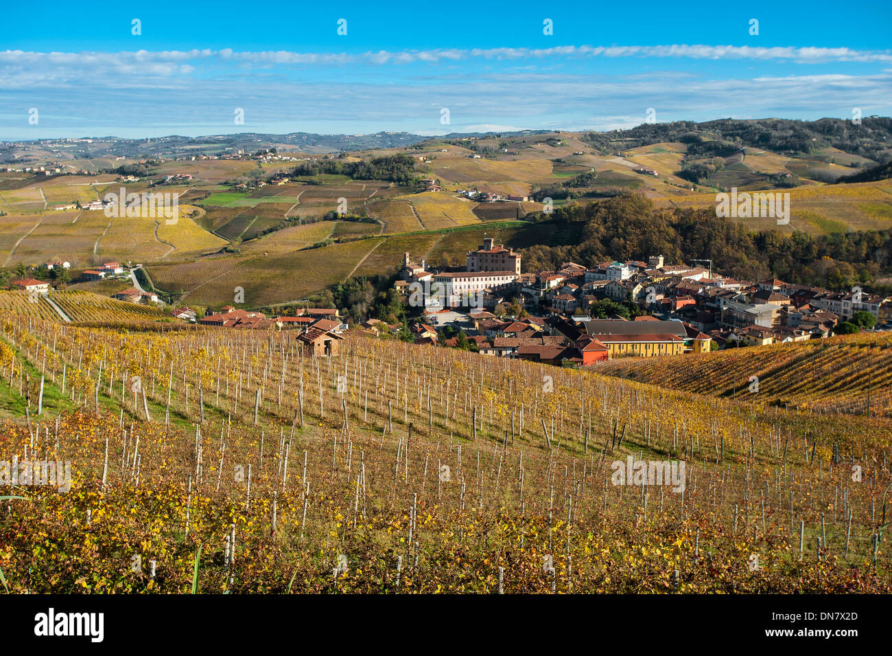 Vino barolo immagini e fotografie stock ad alta risoluzione - Alamy