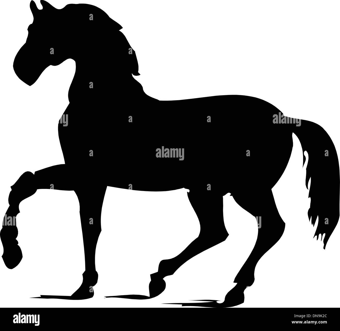 Sagoma di cavallo equino Immagini Vettoriali Stock - Alamy