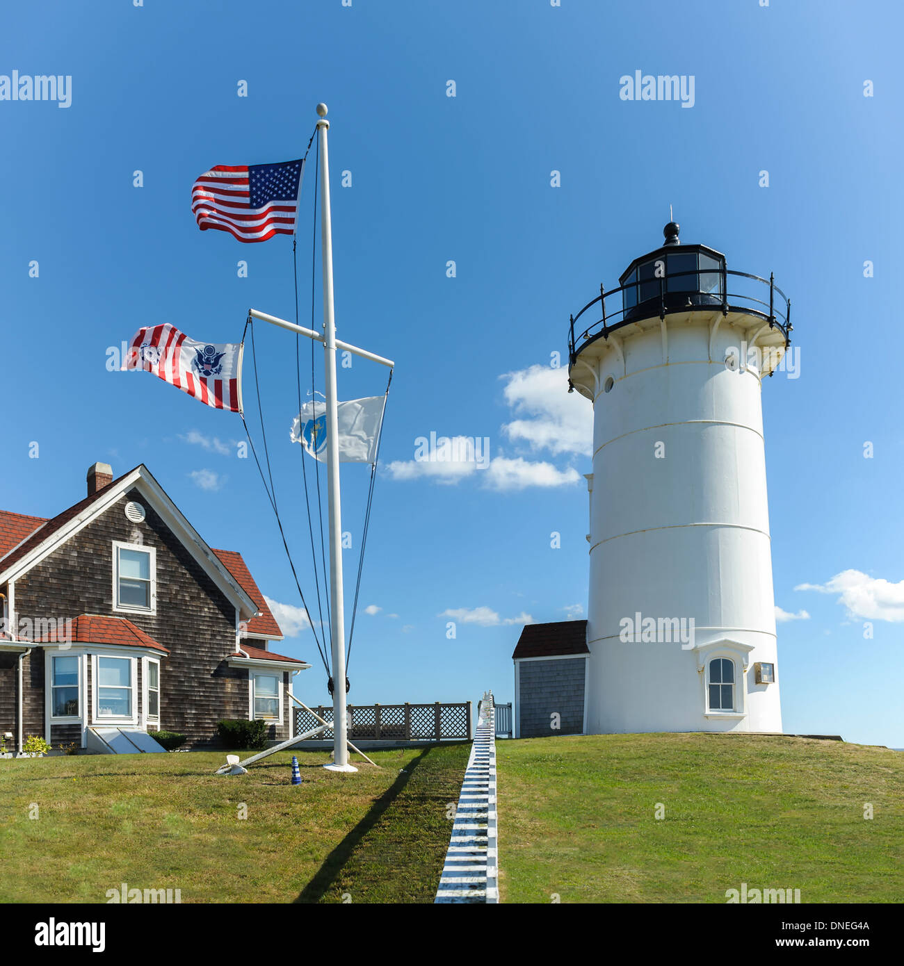Bandiere americane di massa immagini e fotografie stock ad alta ...
