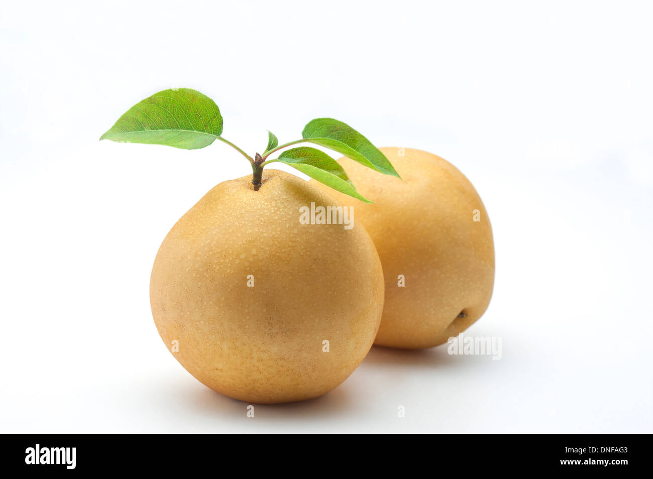 Frutta pera immagini e fotografie stock ad alta risoluzione - Alamy