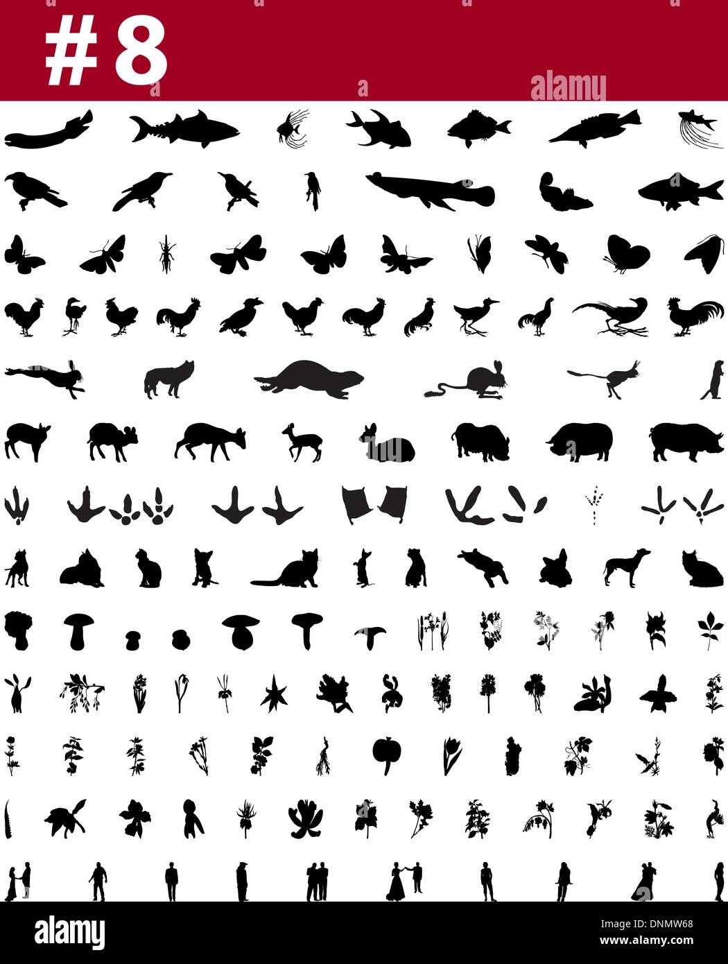 Animal mammals collage immagini e fotografie stock ad alta risoluzione ...