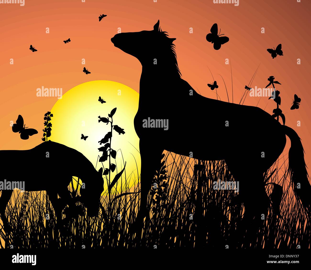 Sagome di cavalli al tramonto Immagini Vettoriali Stock - Alamy