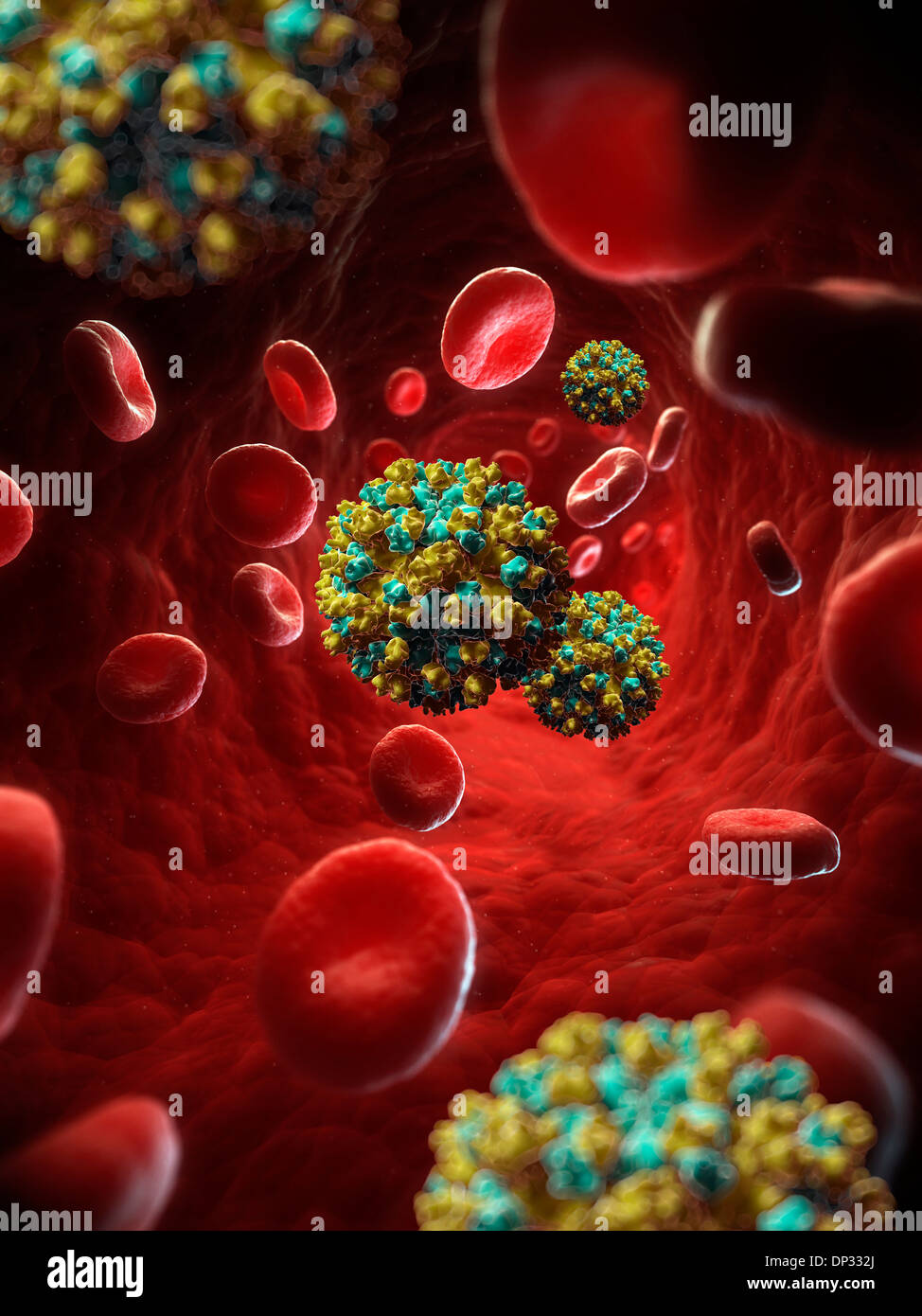 Cellula dell'epatite immagini e fotografie stock ad alta risoluzione ...