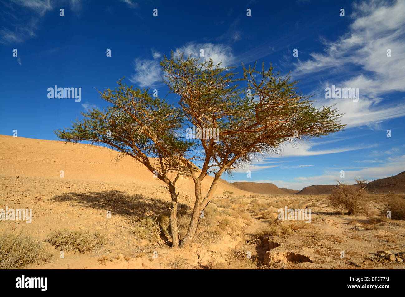 Clima nel deserto immagini e fotografie stock ad alta risoluzione - Alamy
