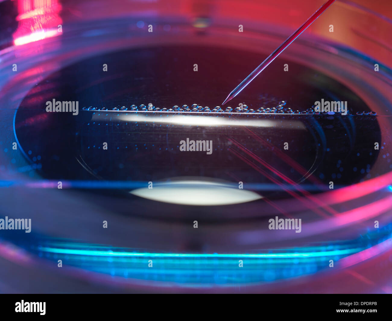 Anatomia del nucleo immagini e fotografie stock ad alta risoluzione - Alamy