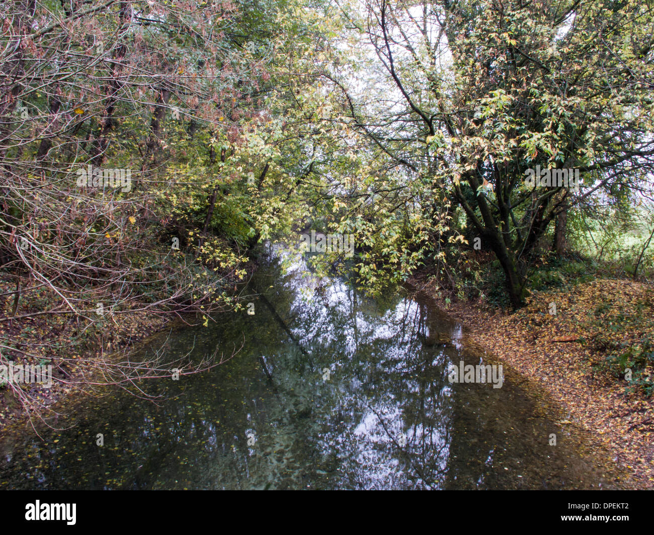 Parco del ticino immagini e fotografie stock ad alta risoluzione - Alamy