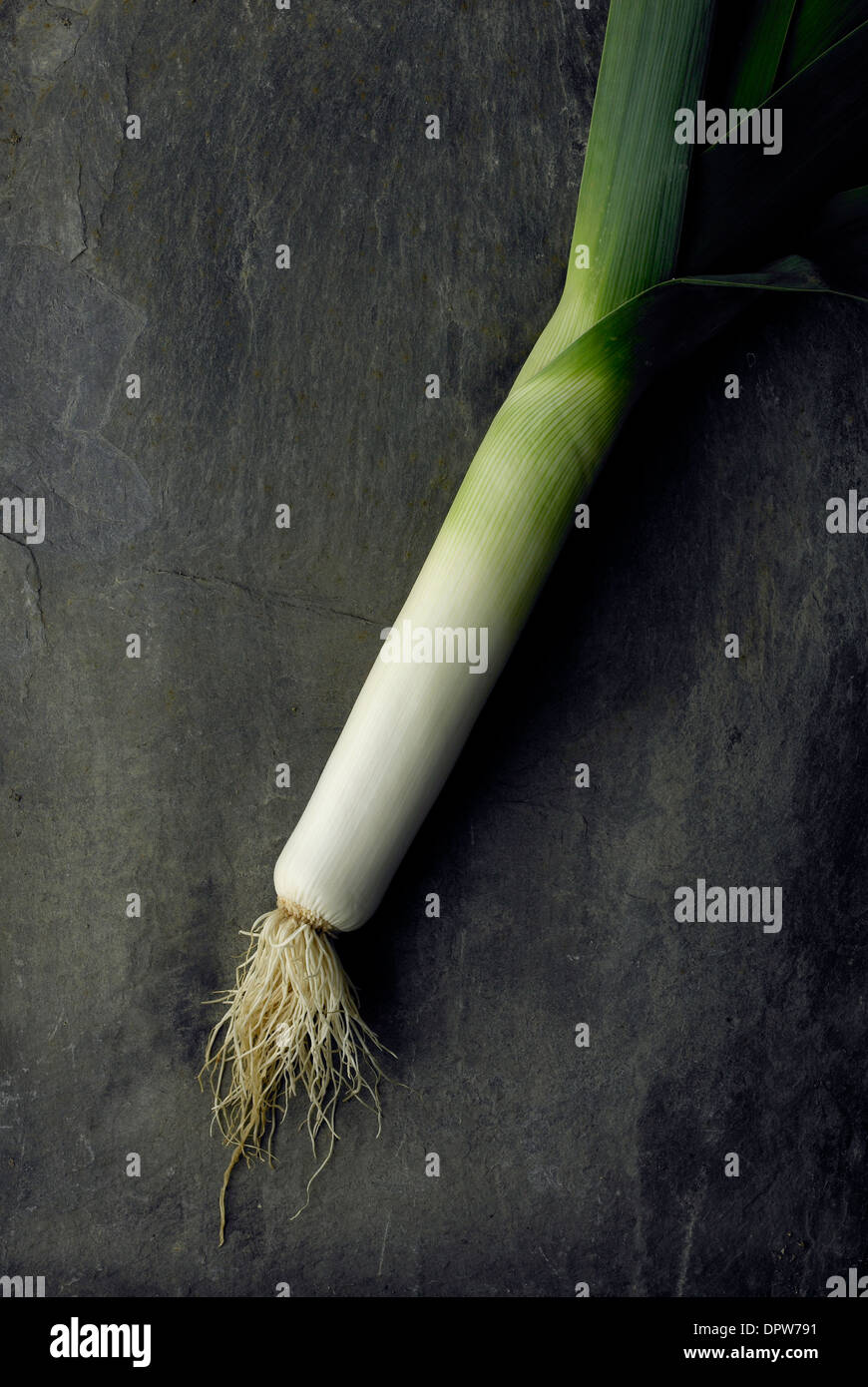 Intero porro immagini e fotografie stock ad alta risoluzione - Alamy