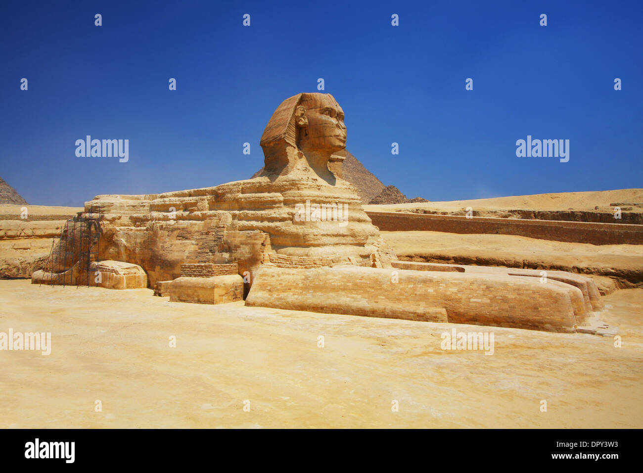 Meraviglia della sfinge egiziana immagini e fotografie stock ad alta ...