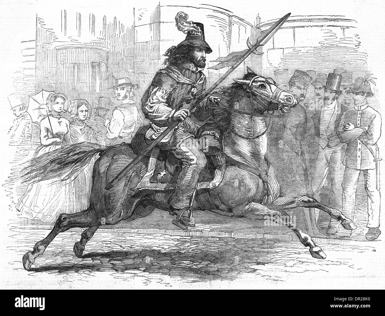 Garibaldi garibaldis immagini e fotografie stock ad alta risoluzione ...