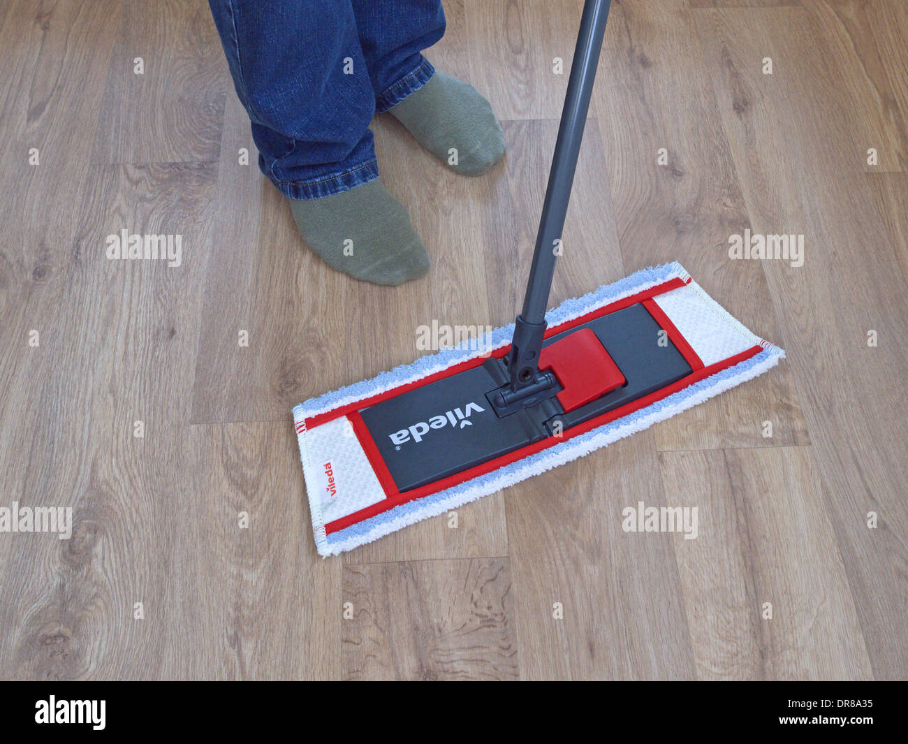 Mops velida immagini e fotografie stock ad alta risoluzione - Alamy