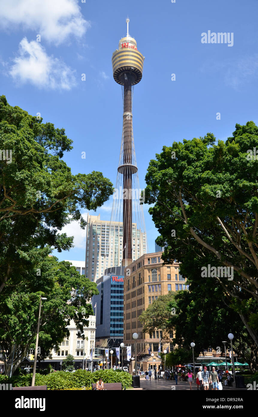 Sydney dalla torre di westfield immagini e fotografie stock ad alta ...
