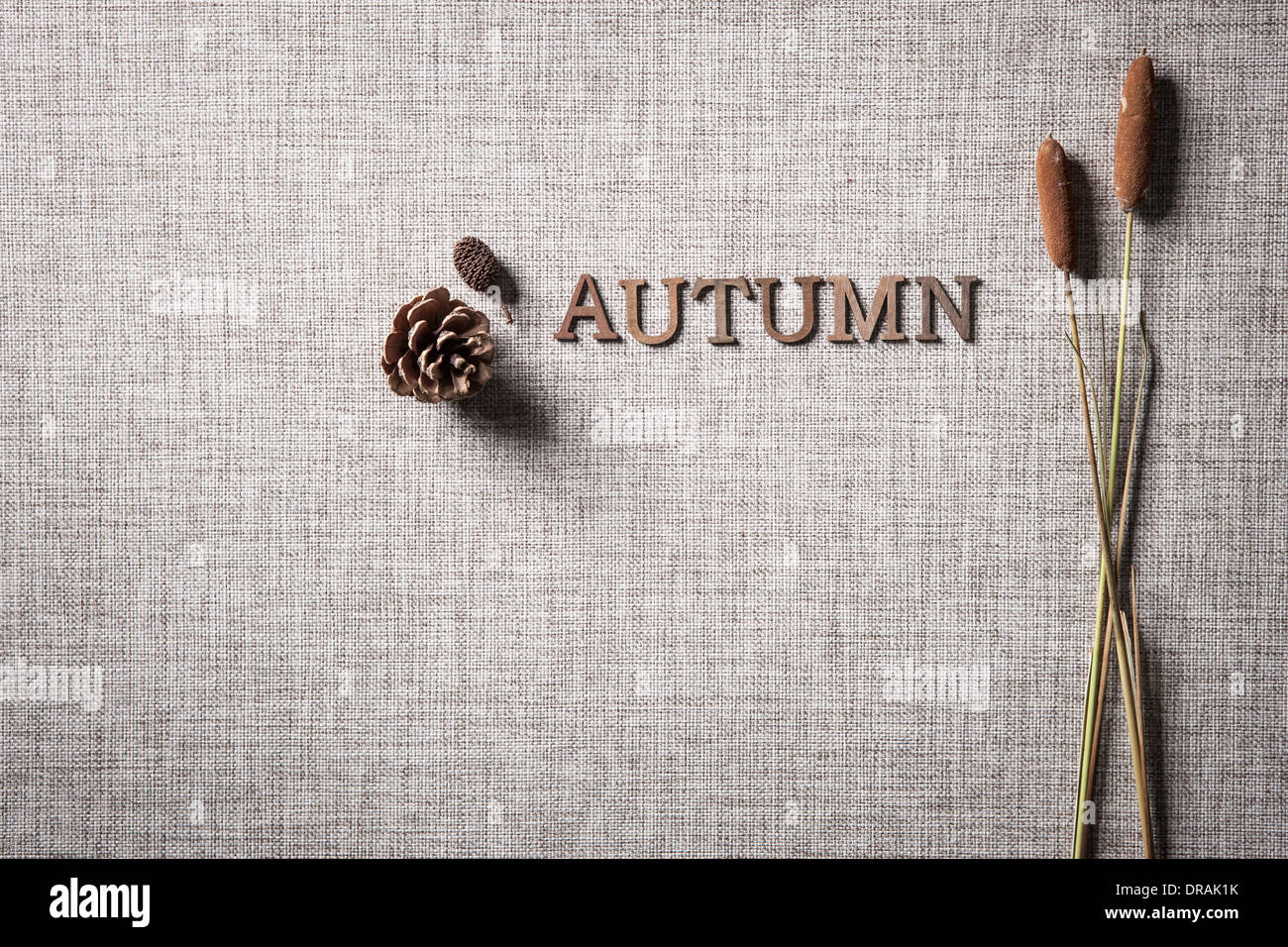 Parola autunno immagini e fotografie stock ad alta risoluzione - Alamy