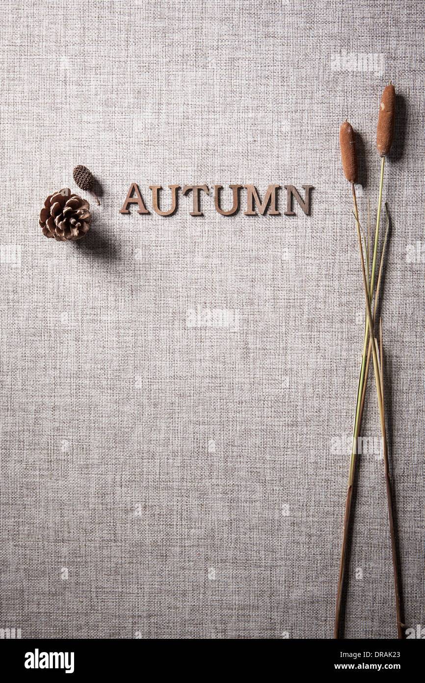 Parola autunno immagini e fotografie stock ad alta risoluzione - Alamy