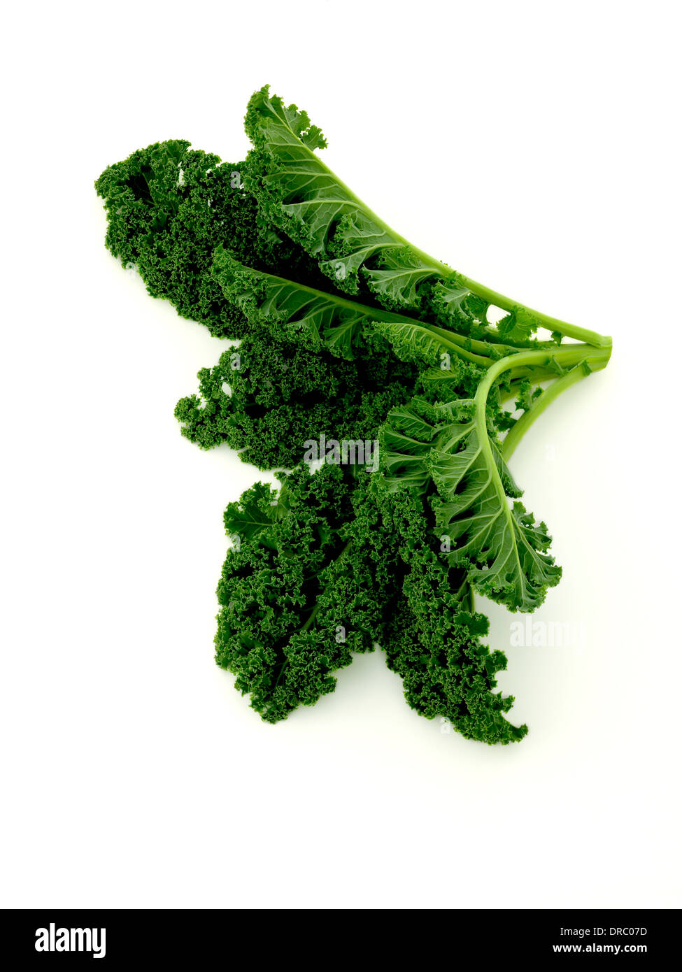 Foglie di cavolo riccio immagini e fotografie stock ad alta risoluzione ...