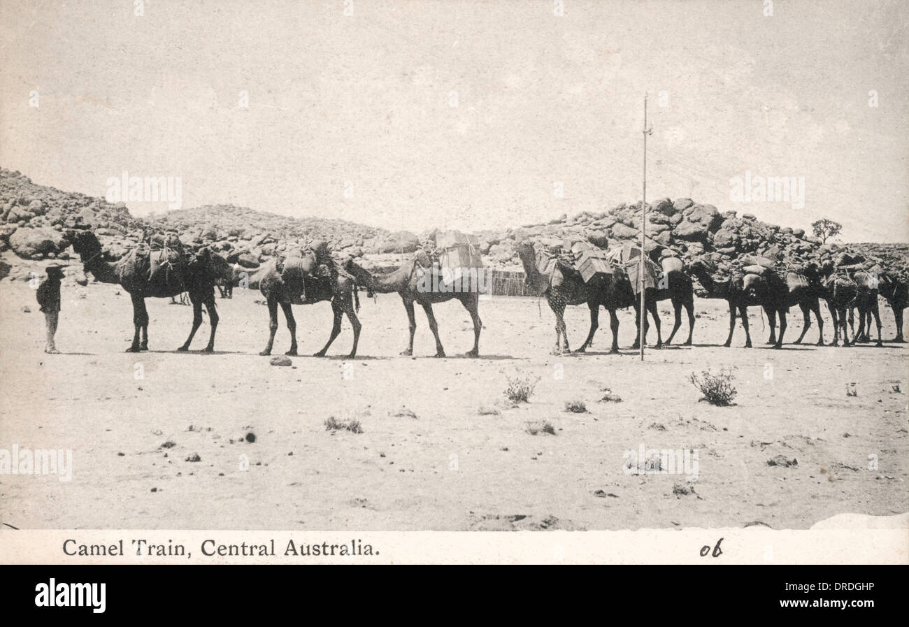 Camel trains immagini e fotografie stock ad alta risoluzione - Alamy