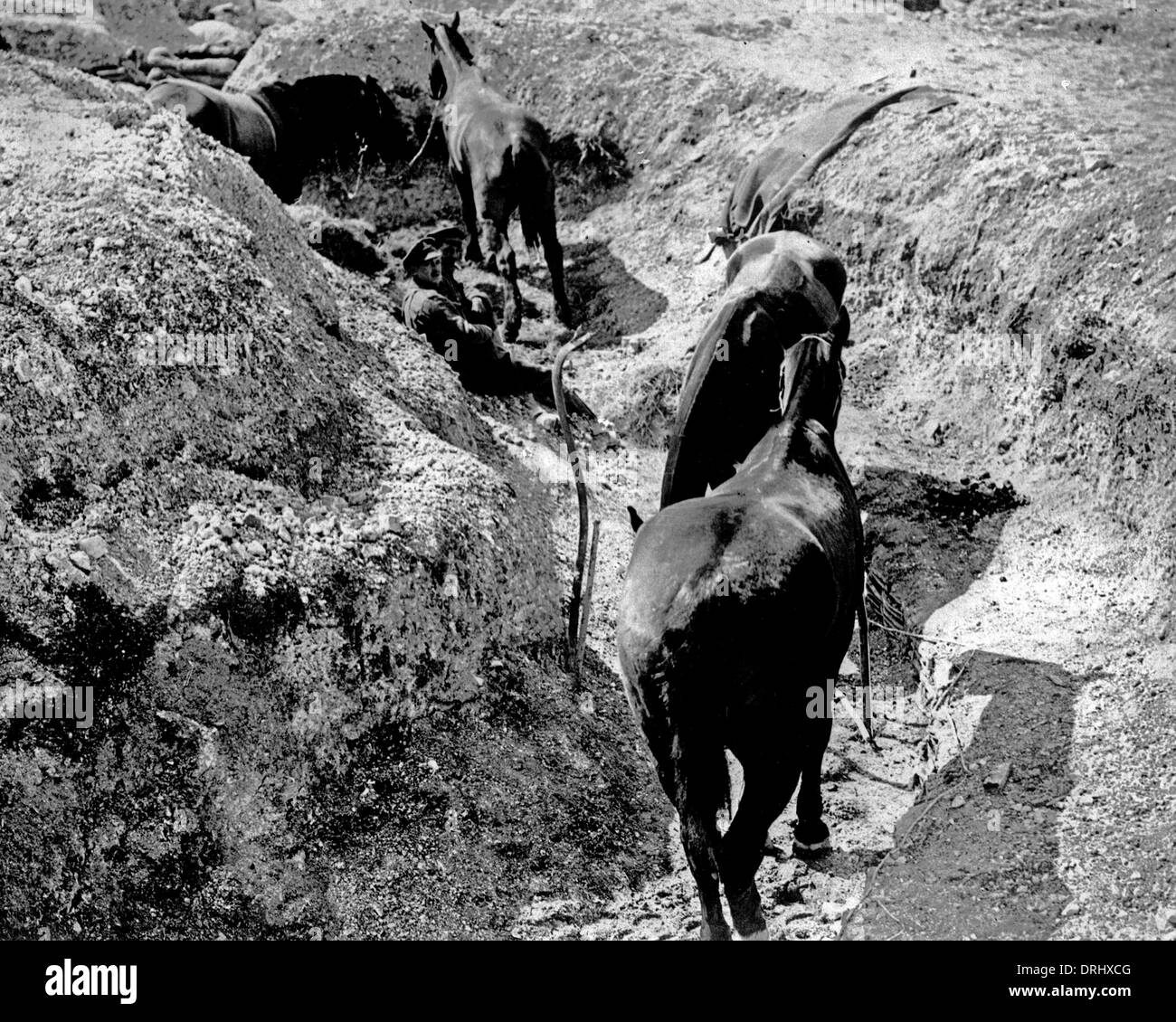 Una trincea della prima guerra mondiale Foto e Immagini Stock in Bianco ...