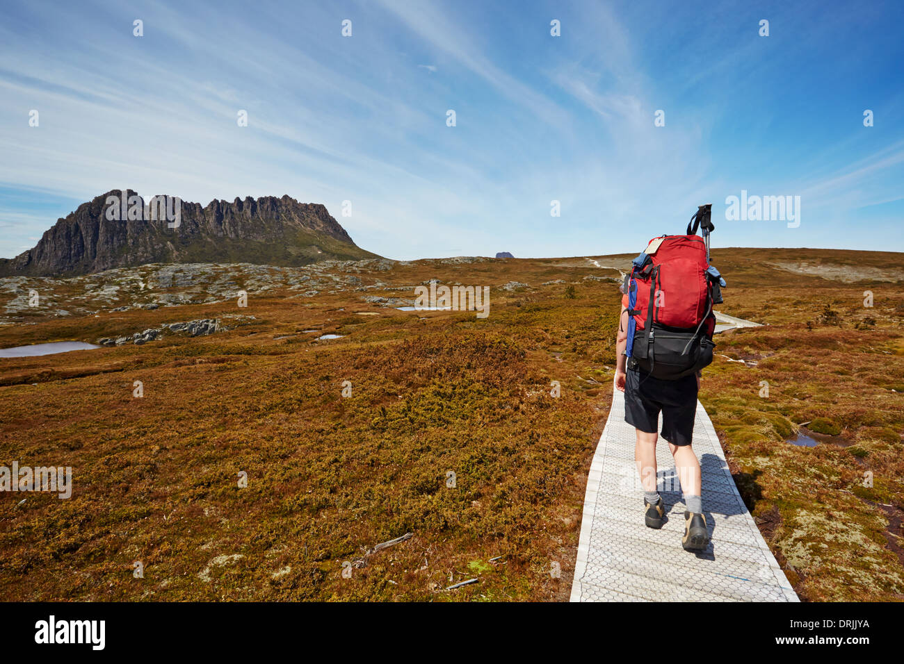 Escursionista femmina sulla passerella in legno immagini e fotografie ...