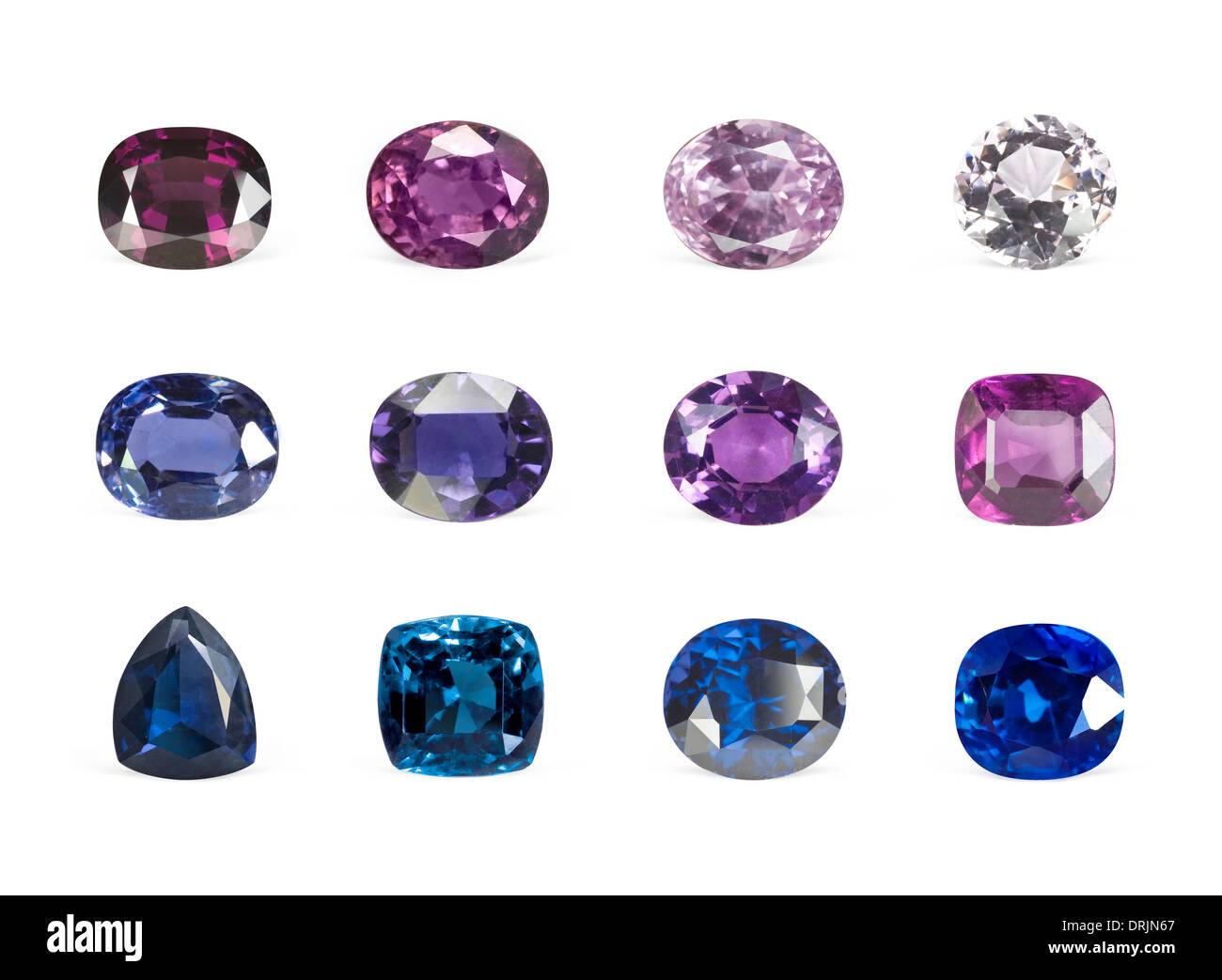 Spinello rosso immagini e fotografie stock ad alta risoluzione - Alamy