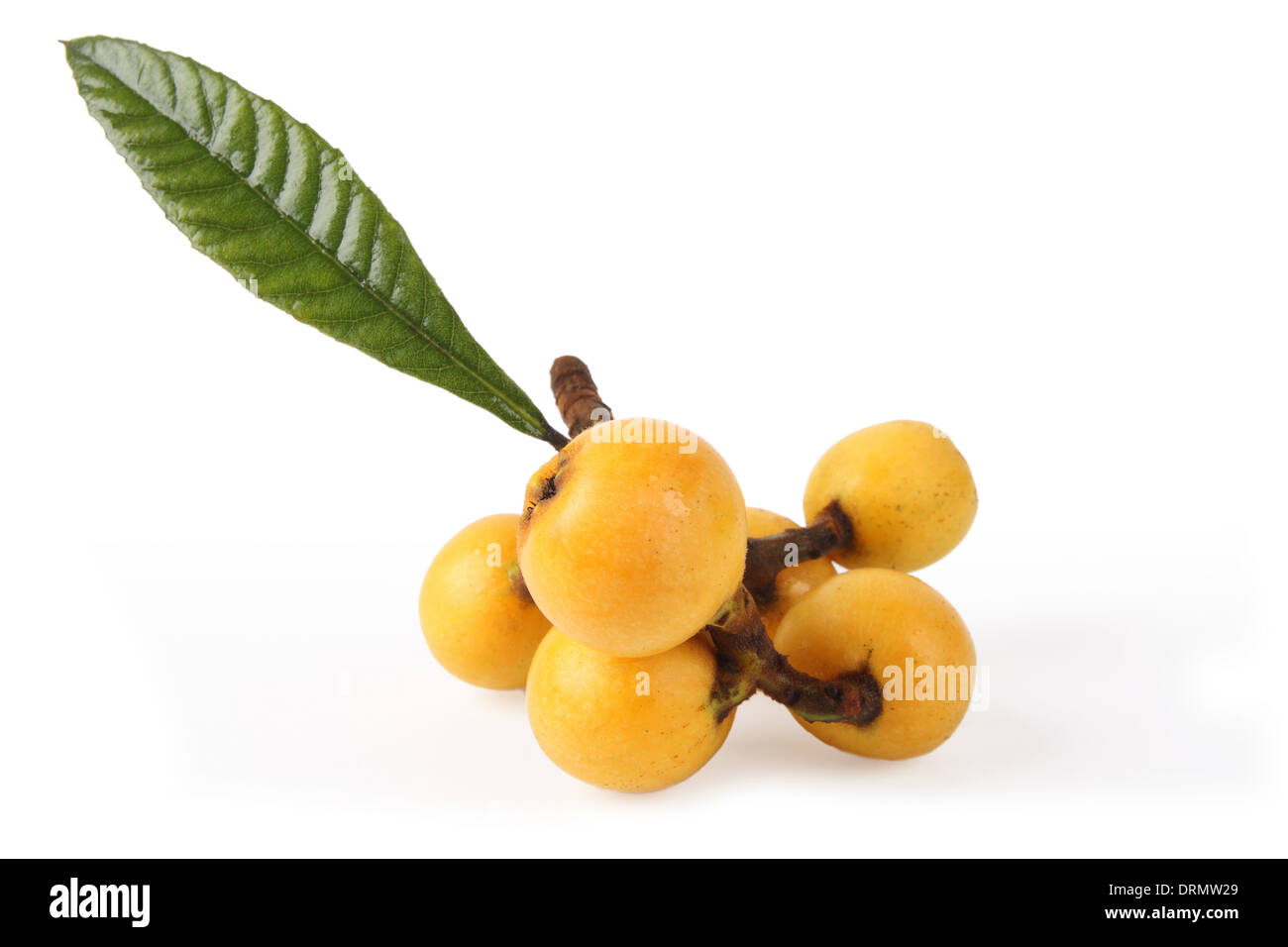 Frutta nespolo immagini e fotografie stock ad alta risoluzione - Alamy